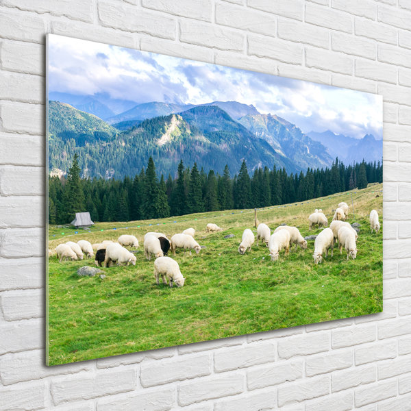 Union Rustic Glasbild Schafe in der Tatra | Wayfair.de